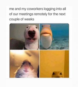 Your Guide to a Successful Online Video Conference Call | Blog