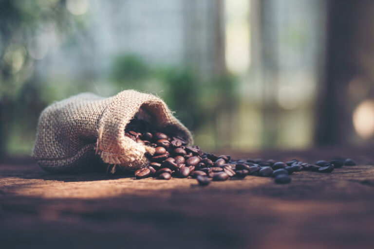 Best Organic Coffee Brands in 2026: Picks for High-Quality Coffee